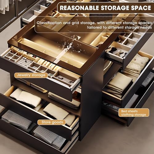 High QLO Luxurious Armoire with Transparent Storage Compartment